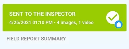 Remote Virtual Inspections